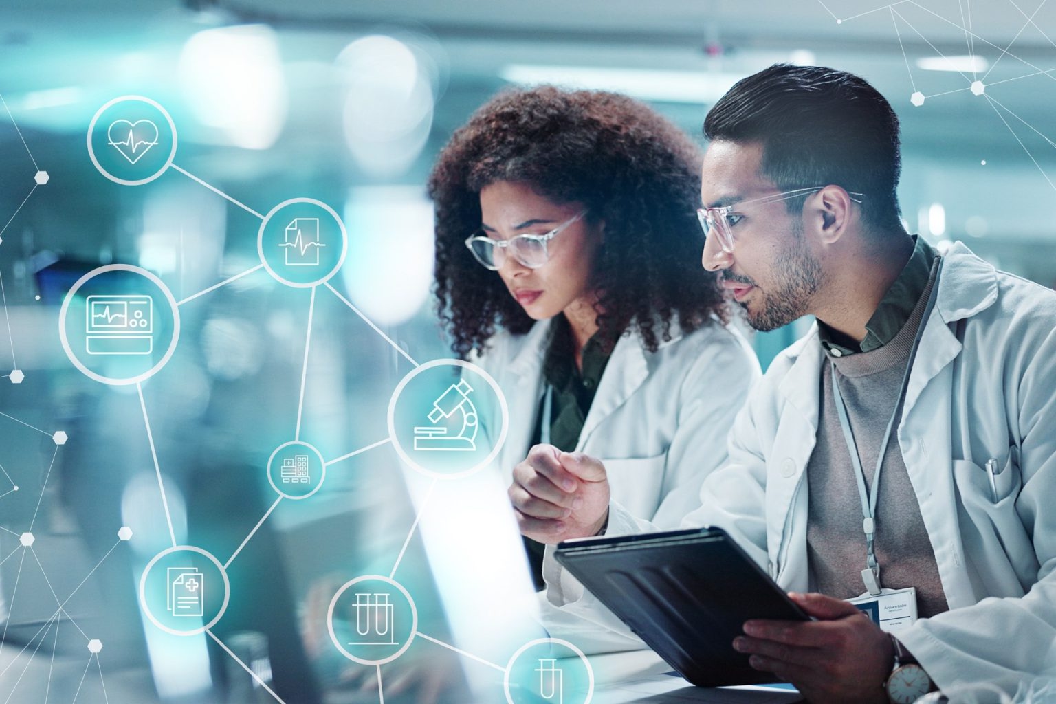 Services | ECG Management Consultants