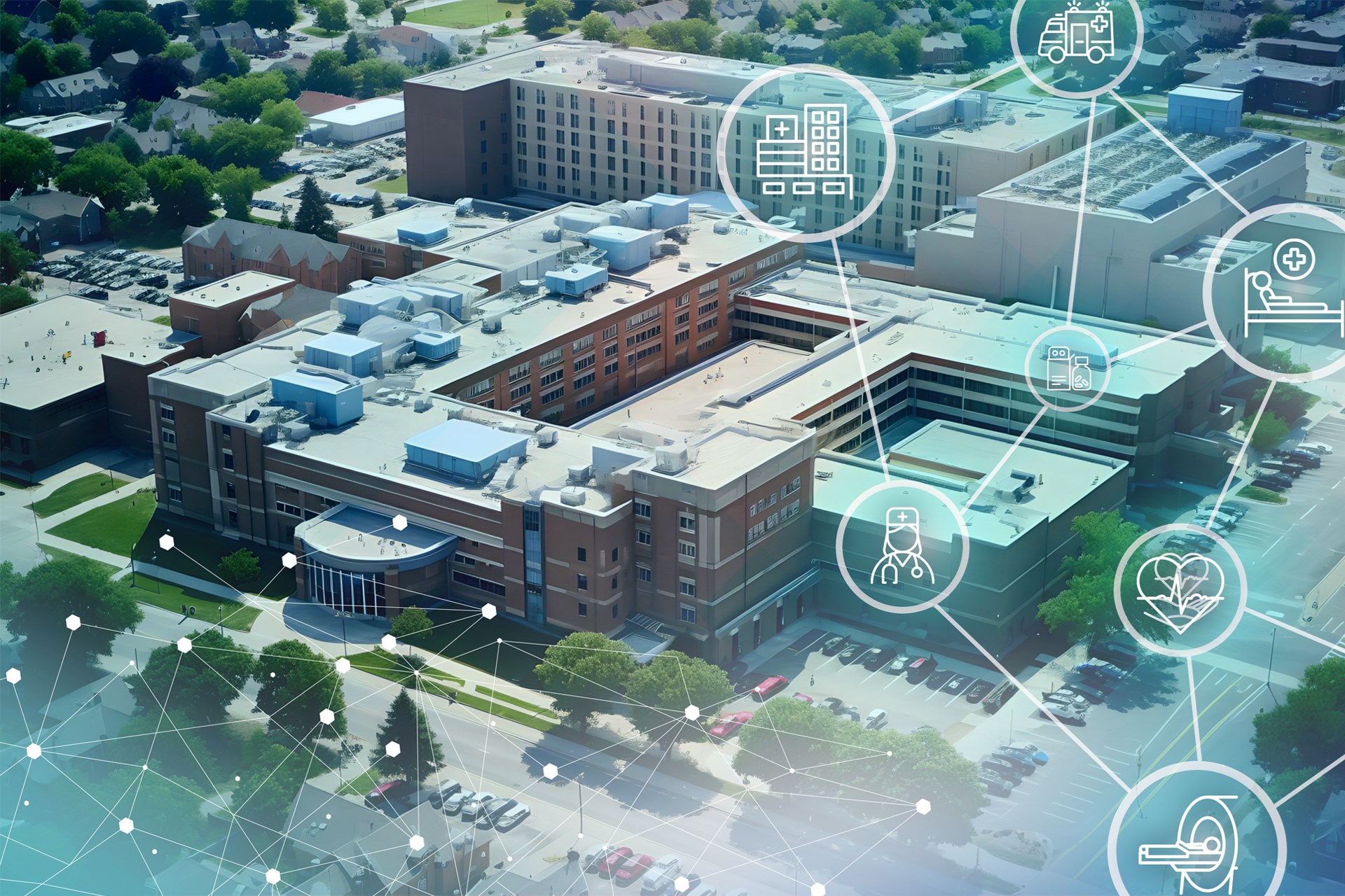 Services | ECG Management Consultants