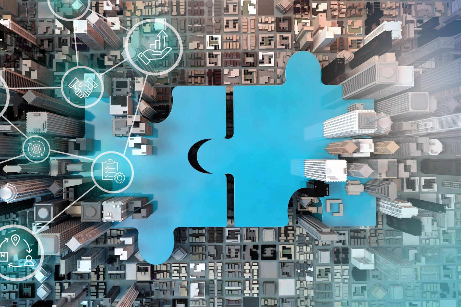 Services | ECG Management Consultants