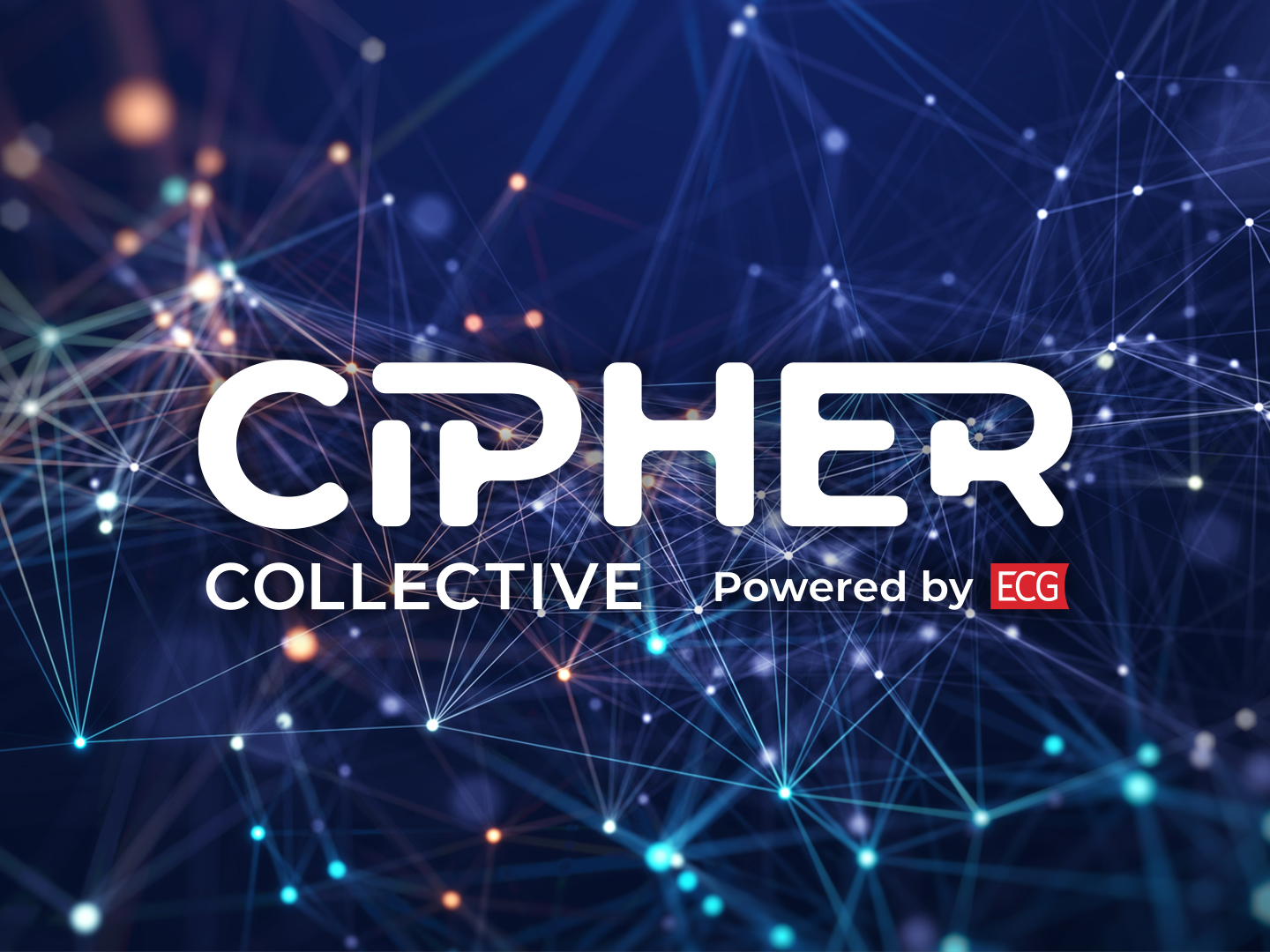 Products | ECG Management Consultants